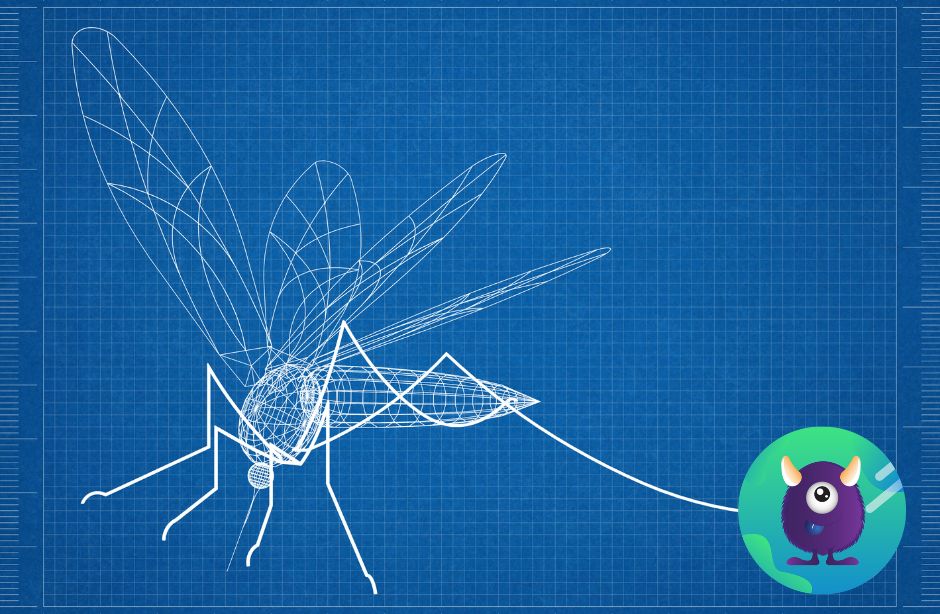 Comment les moustiques choisissent-ils leur goûter préféré ? | Les ...